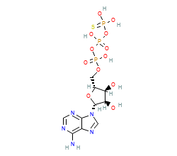 KLIFS - the structural kinase database