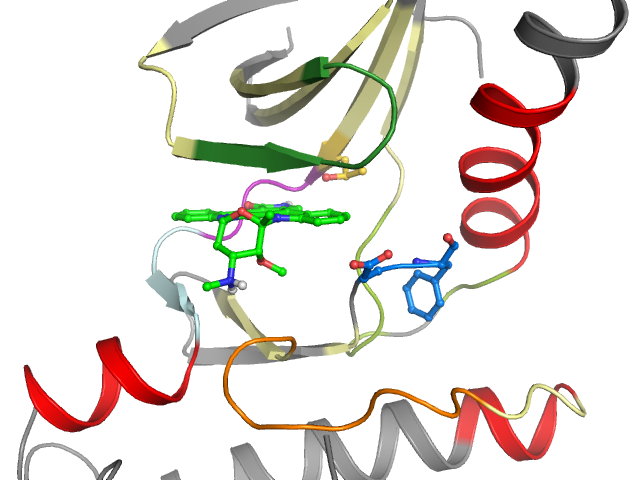 KLIFS - the structural kinase database