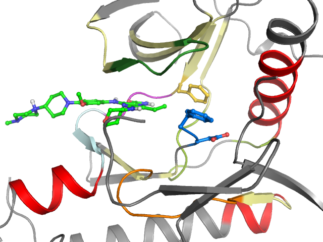 KLIFS - the structural kinase database