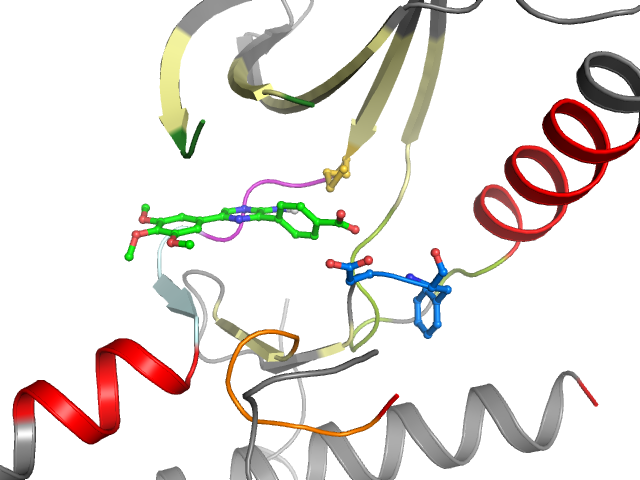 KLIFS - the structural kinase database