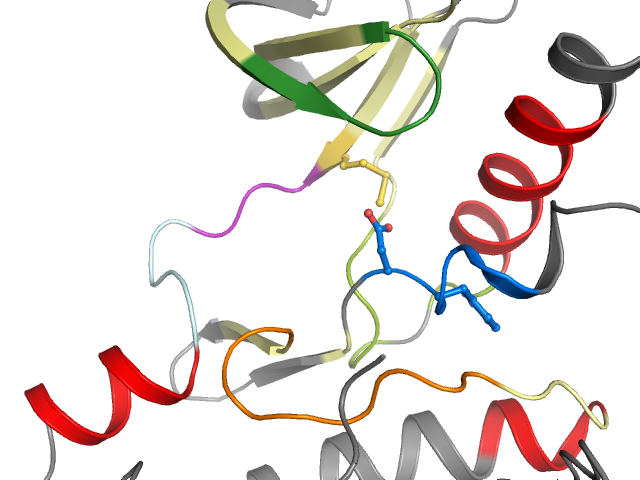 KLIFS - the structural kinase database