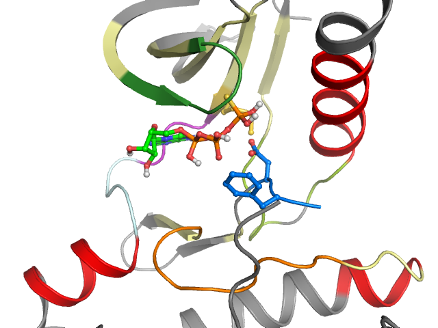KLIFS - the structural kinase database
