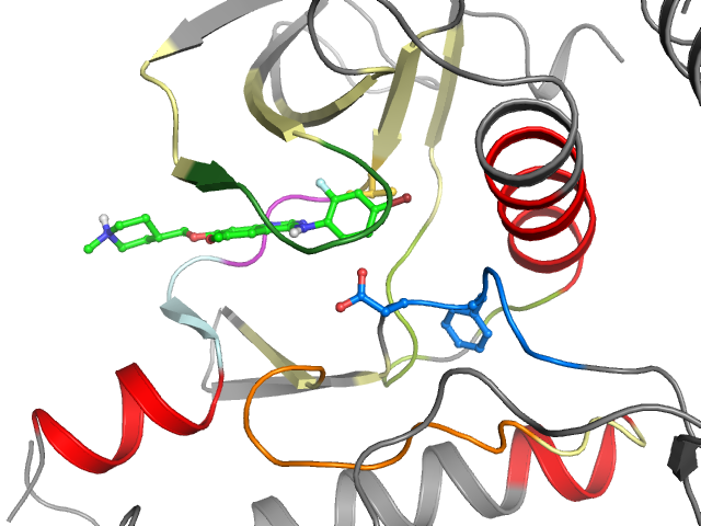 KLIFS - the structural kinase database