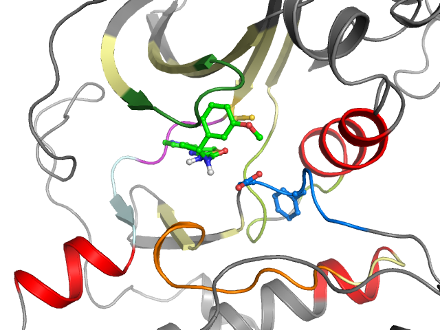 KLIFS - the structural kinase database