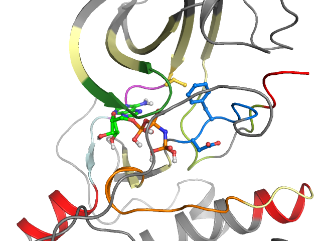 KLIFS - the structural kinase database