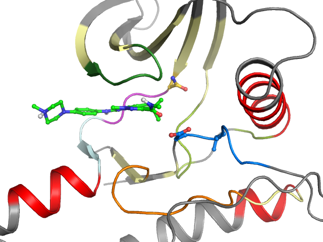 KLIFS - the structural kinase database