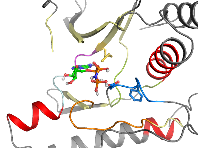 KLIFS - the structural kinase database